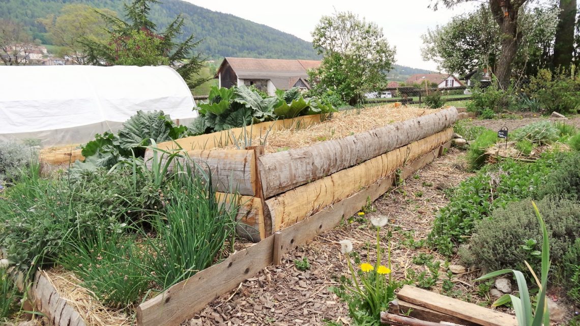 Jardin en permaculture ; créer une butte surélevée | Vis la permaculture
